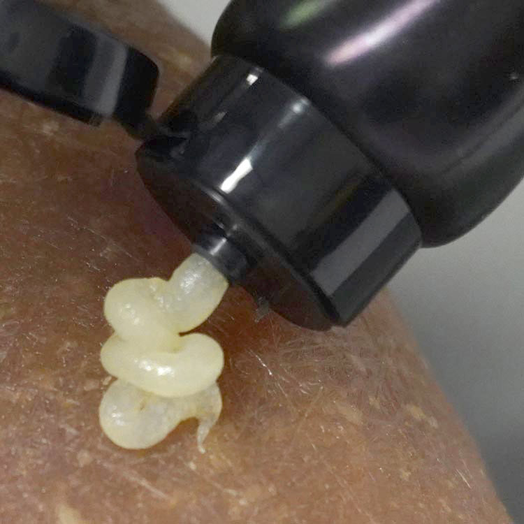 UV Putty, in stock for same day shipping | Fibre Glast